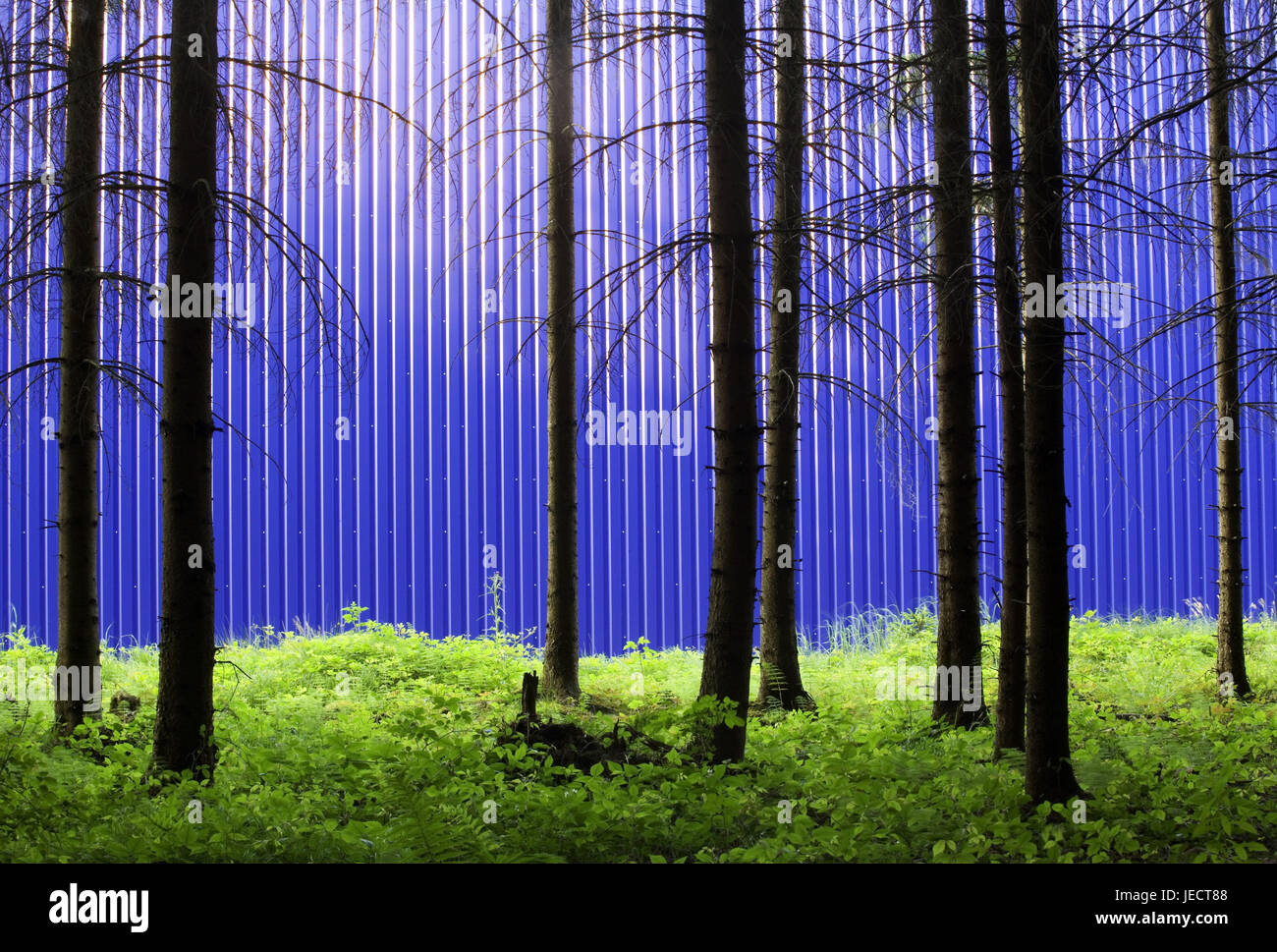 Tin Forest High Resolution Stock Photography and Images - Alamy