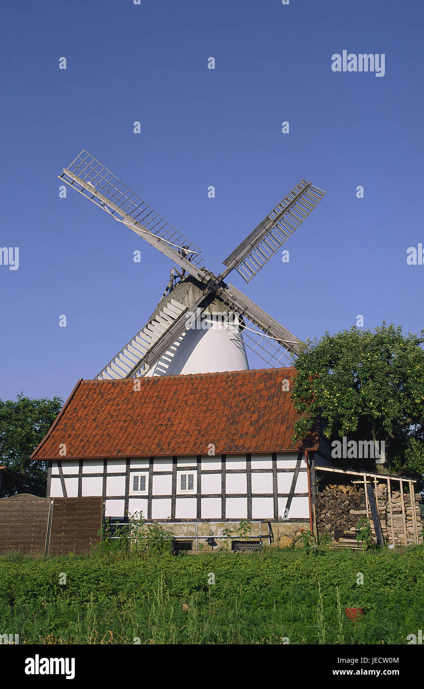 Germany, North Rhine-Westphalia, Hille, Eickhorster windmill, half ...