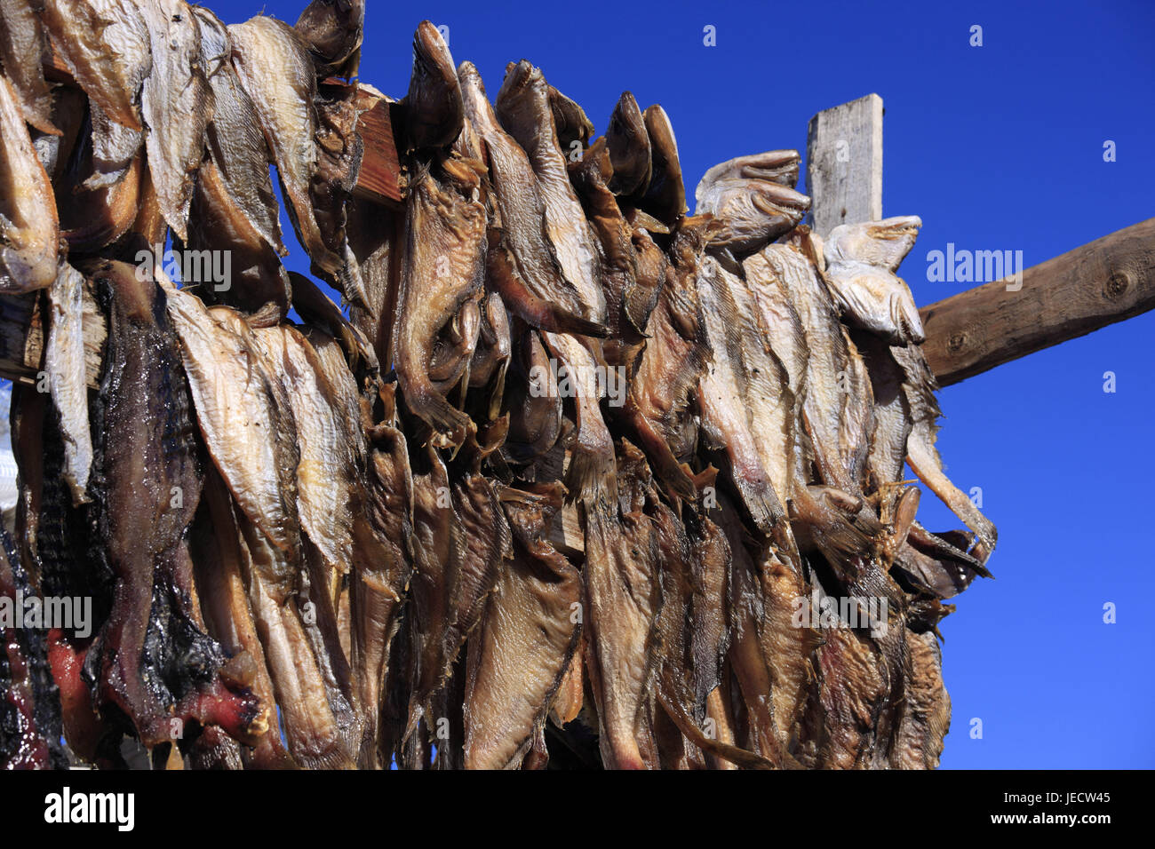 Greenland, Upernavik, wooden rack, dry fish, hang, detail, North ...