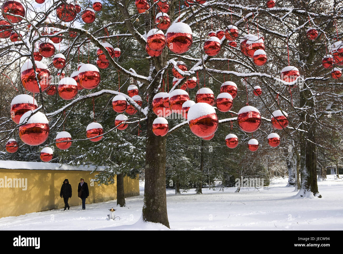 Austria, Salzburg, castle Hellbrunn, tree, Christmas decoration Stock ...