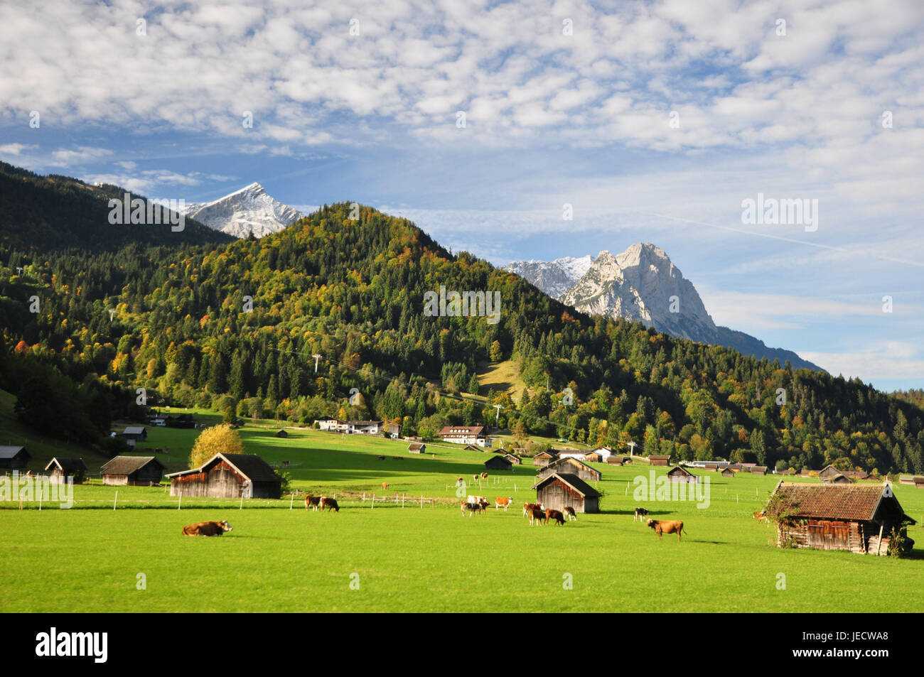 Germany, Bavaria, Garmisch-Partenkirchen, agrarian meadows, Zugspitze ...
