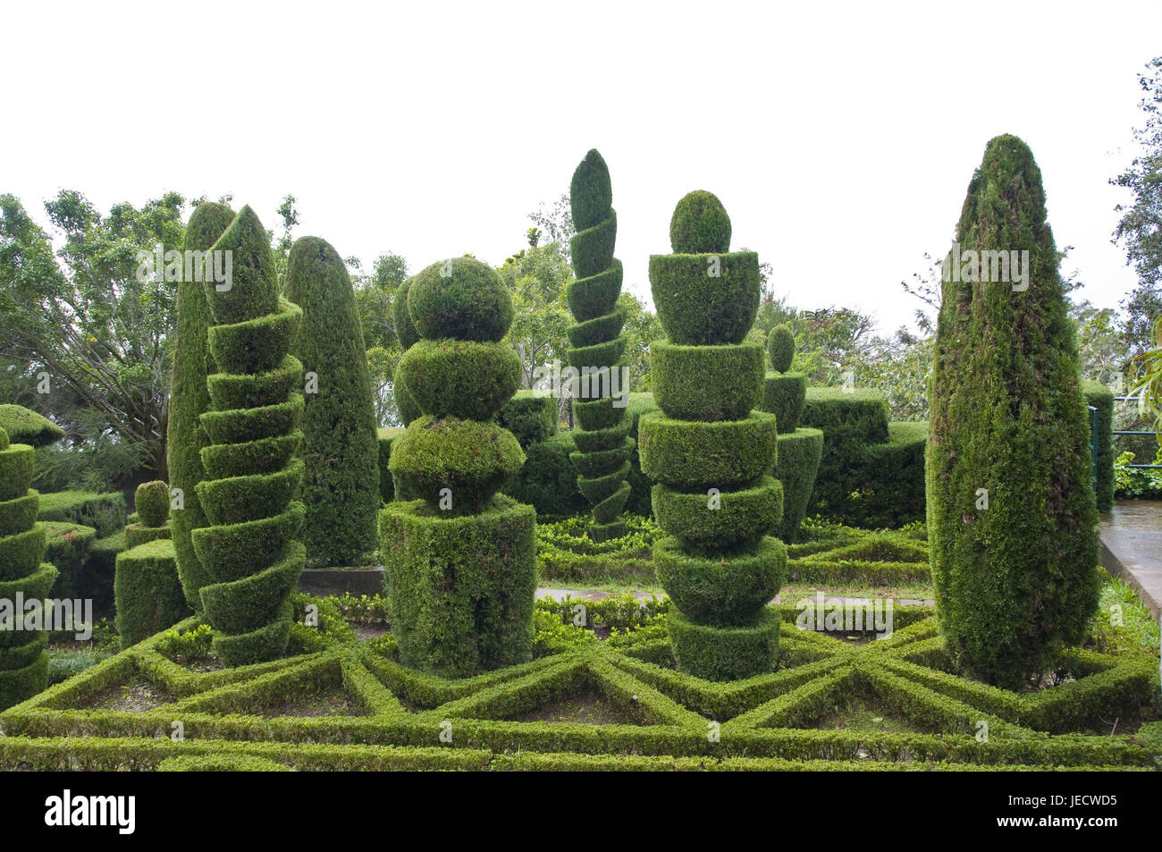 Botanical garden, trees, form editing, 'sculpture garden', close ...