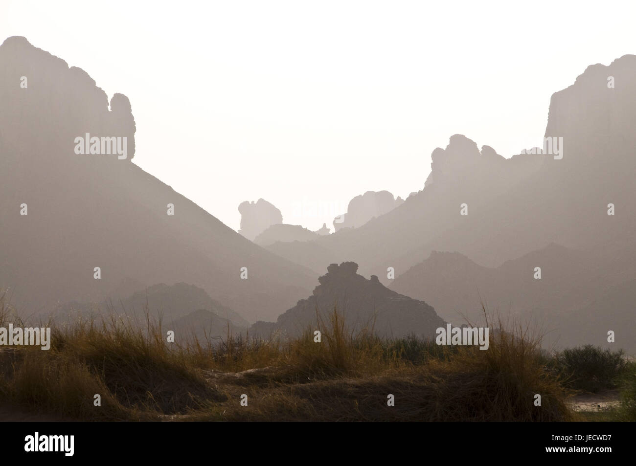 Bald scenery with the gulch of Essendilene, Algeria, Africa Stock Photo ...
