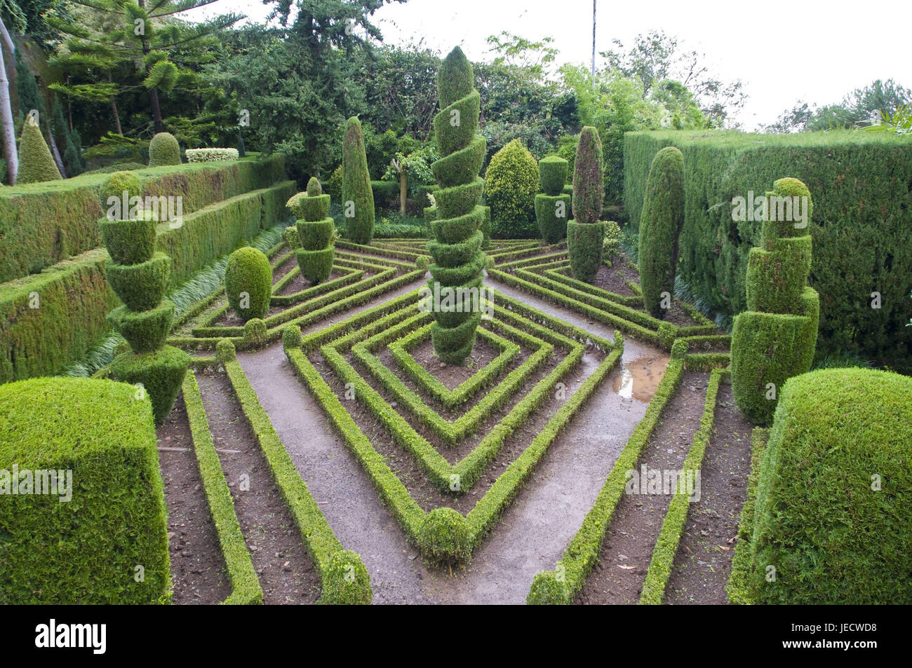 Botanical garden, trees, form editing, 'sculpture garden', close ...