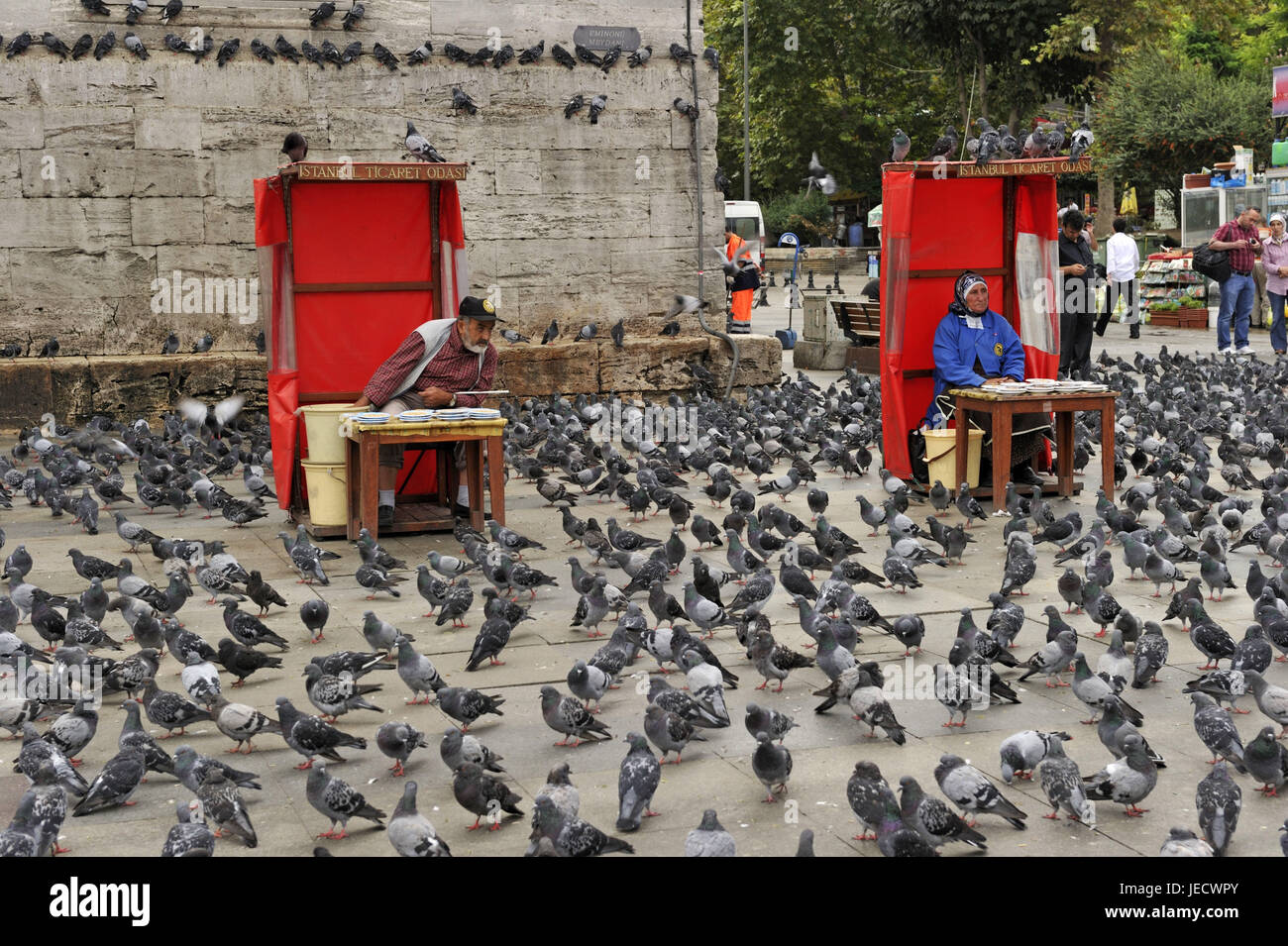 Istanbul pigeons unesco hi-res stock photography and images - Alamy