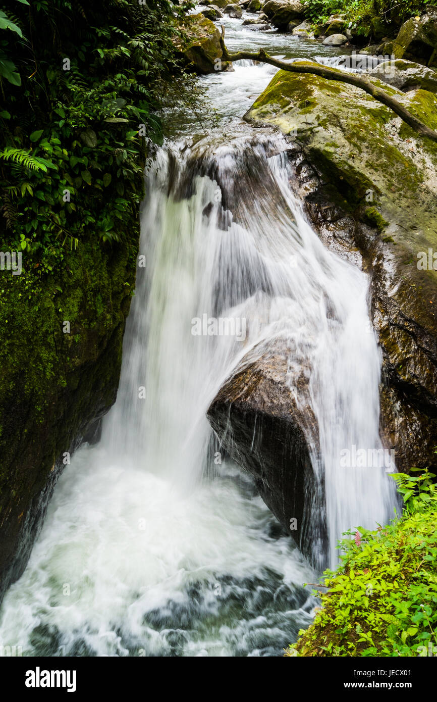 Waterfall in mindo cloud forest hi-res stock photography and images - Alamy