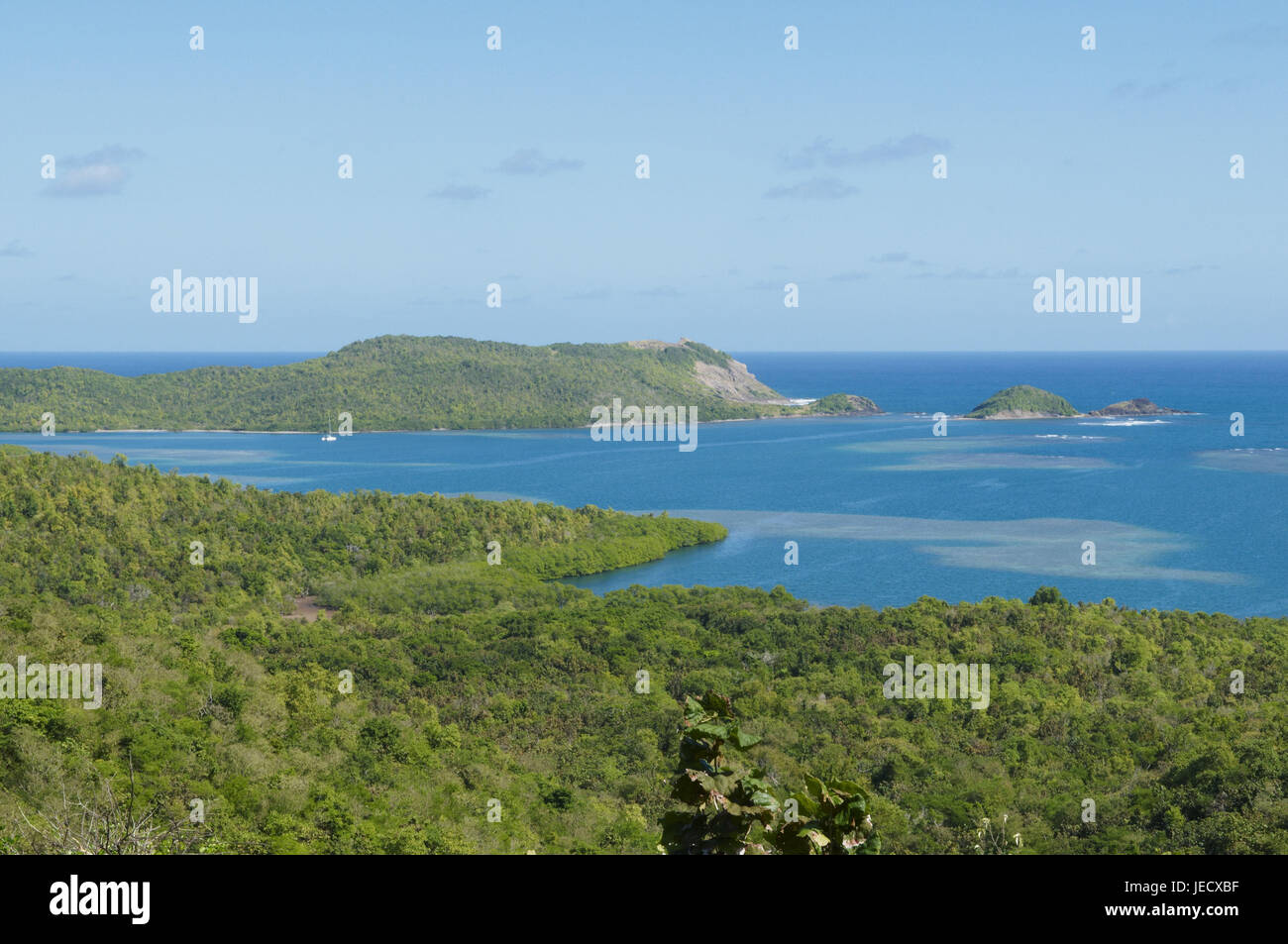 Martinique, nature reserve Caravelle Stock Photo - Alamy