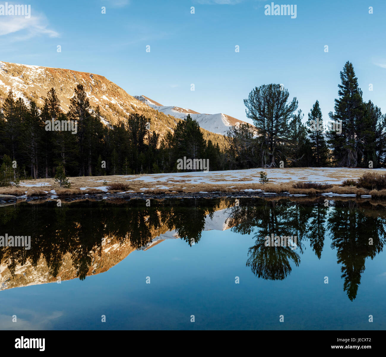 Tioga Pass at Yosemite National Park Stock Photo - Alamy