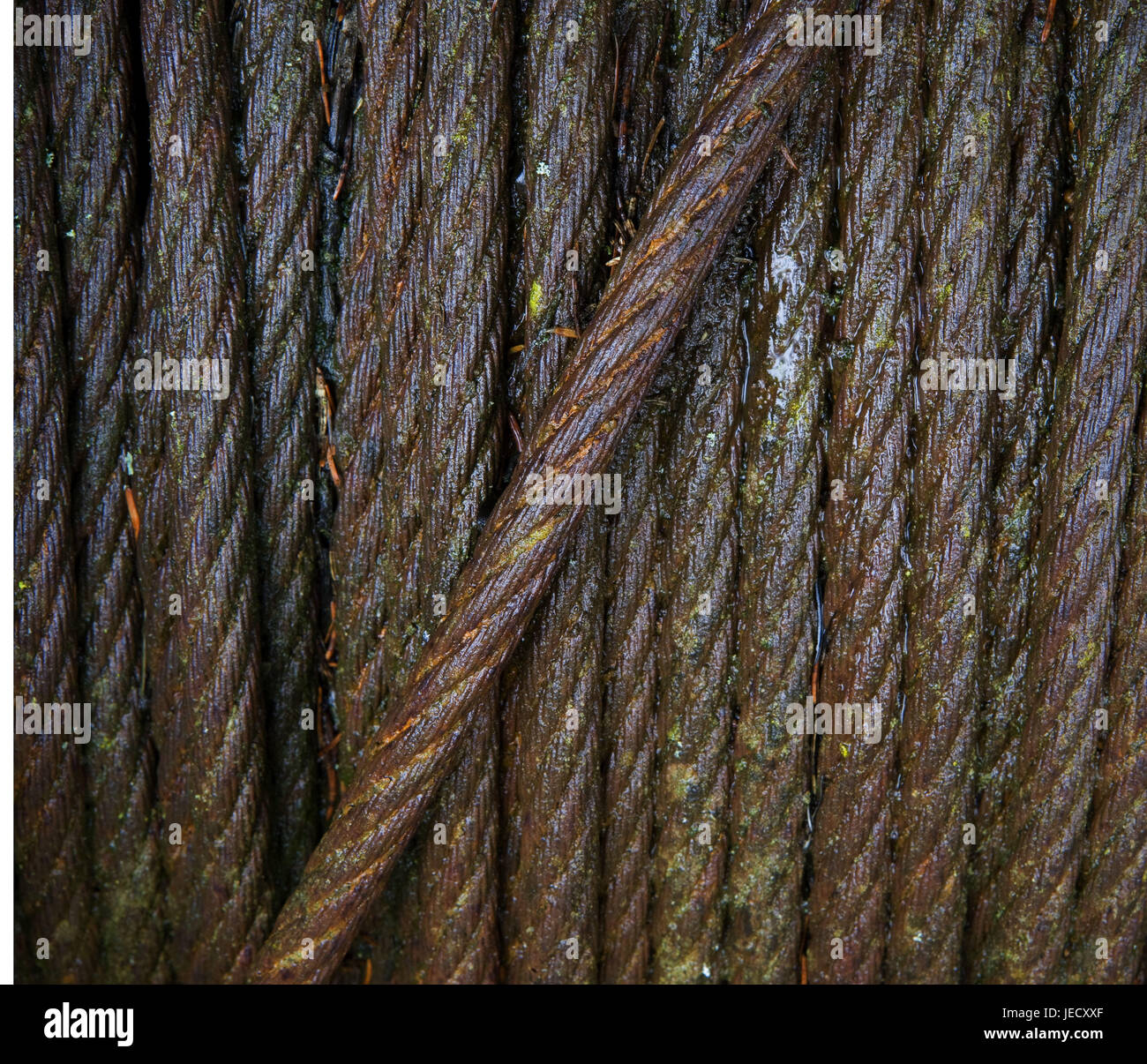Role rope hi-res stock photography and images - Alamy