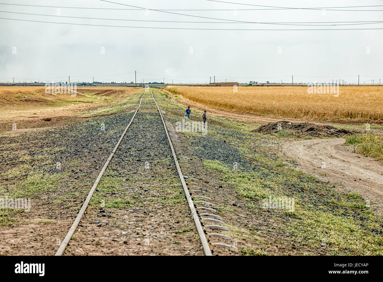 Train tracks through the wheat fields of Syria Stock Photo - Alamy