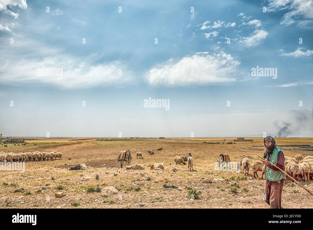 Gleaning wheat hi-res stock photography and images - Alamy