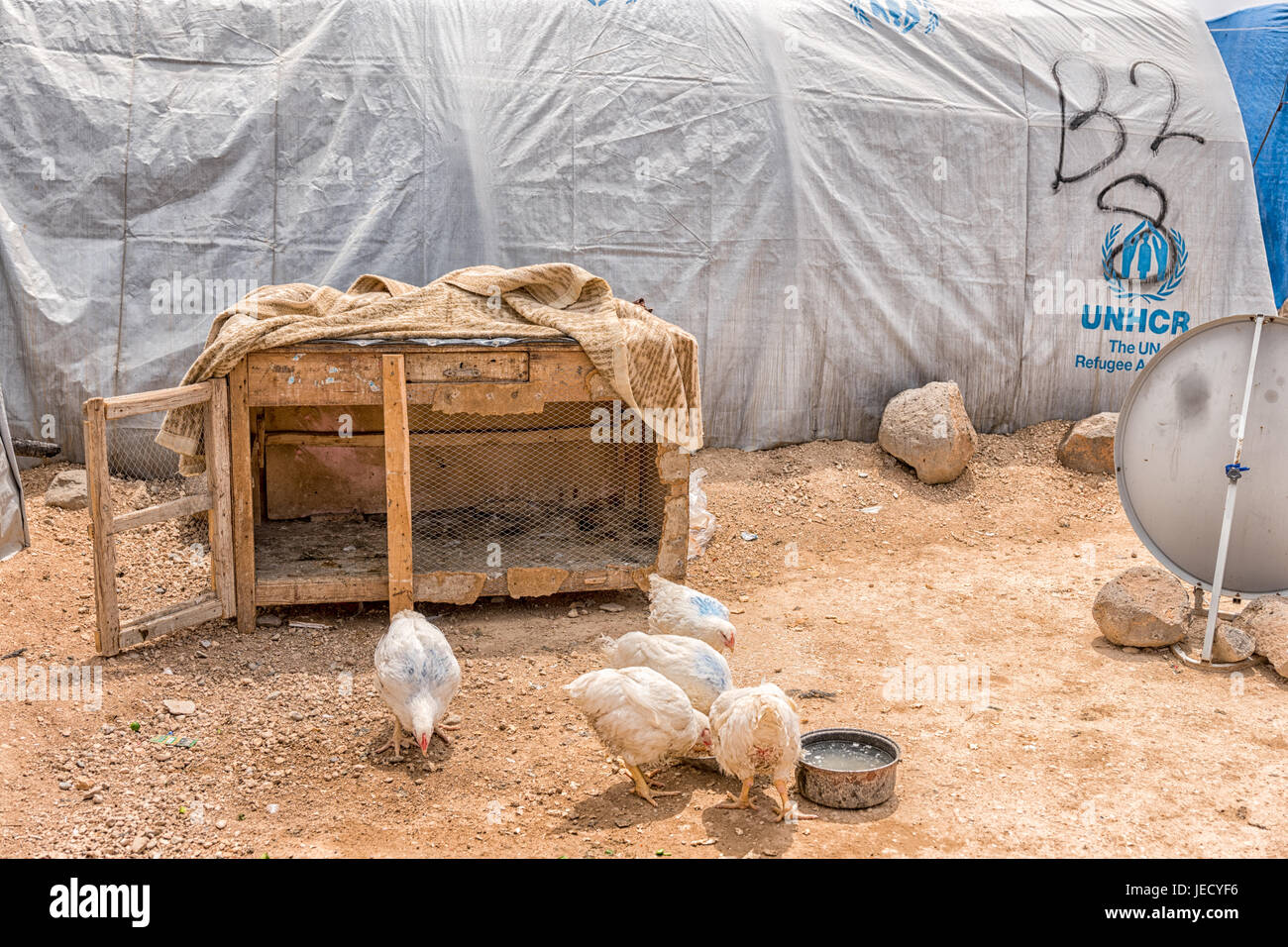 UNHCR camp, thousands of Yazidi families with many children are ...