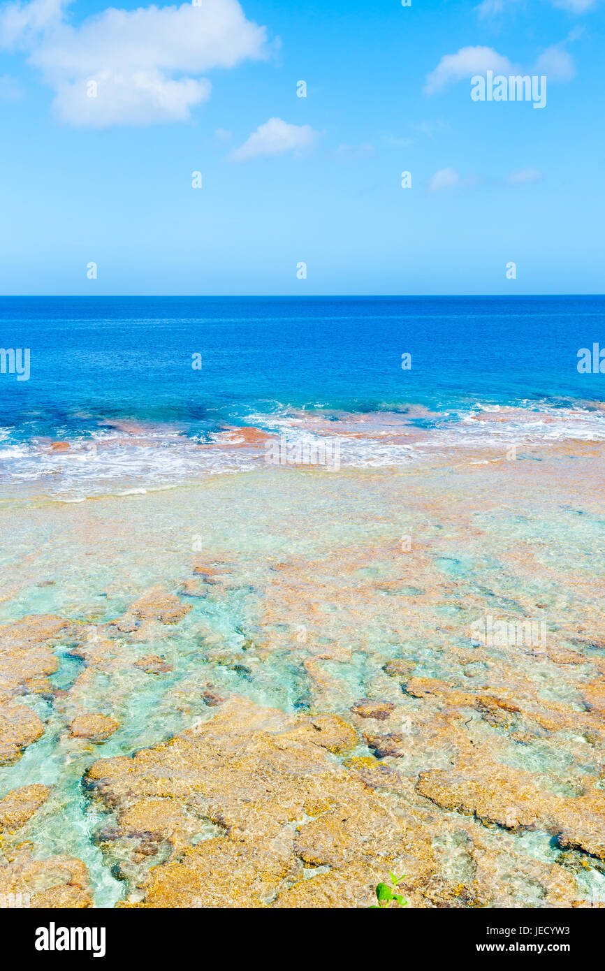 Tropical patterns and colors of coral reef, sea and sky Stock Photo - Alamy