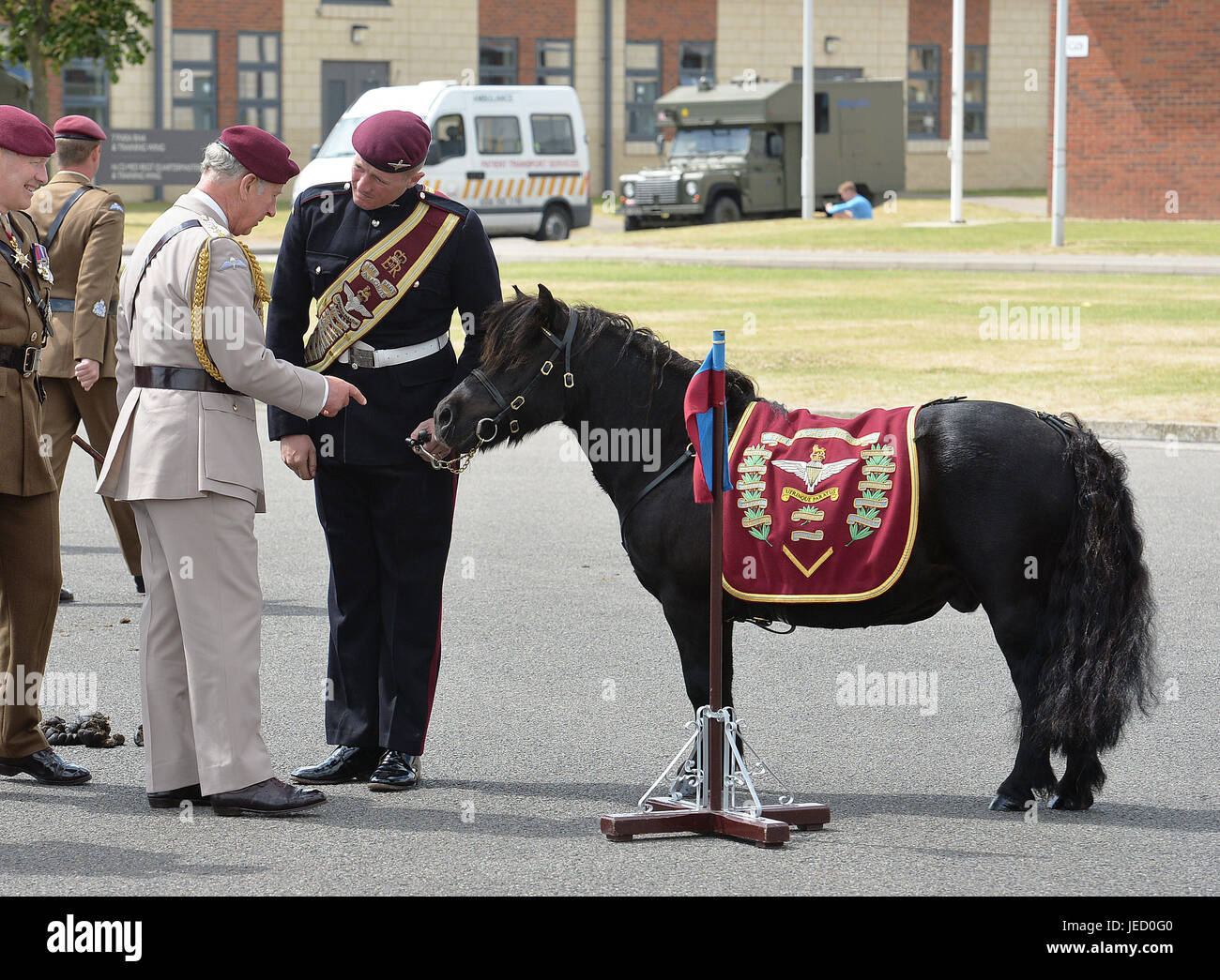 The Prince of Wales meets Pagasus the Para Regiment mascot during a ...