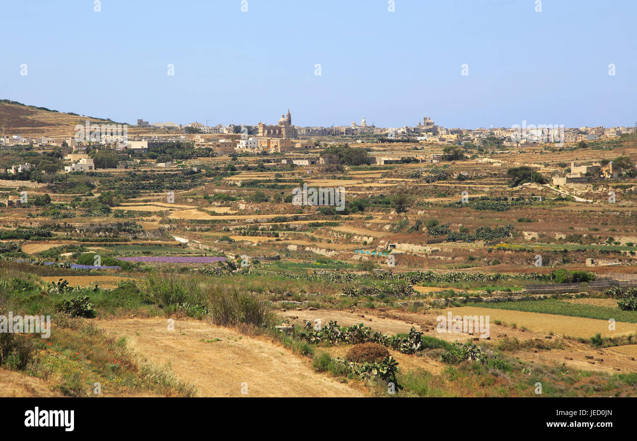 Maltese agriculture hi-res stock photography and images - Alamy
