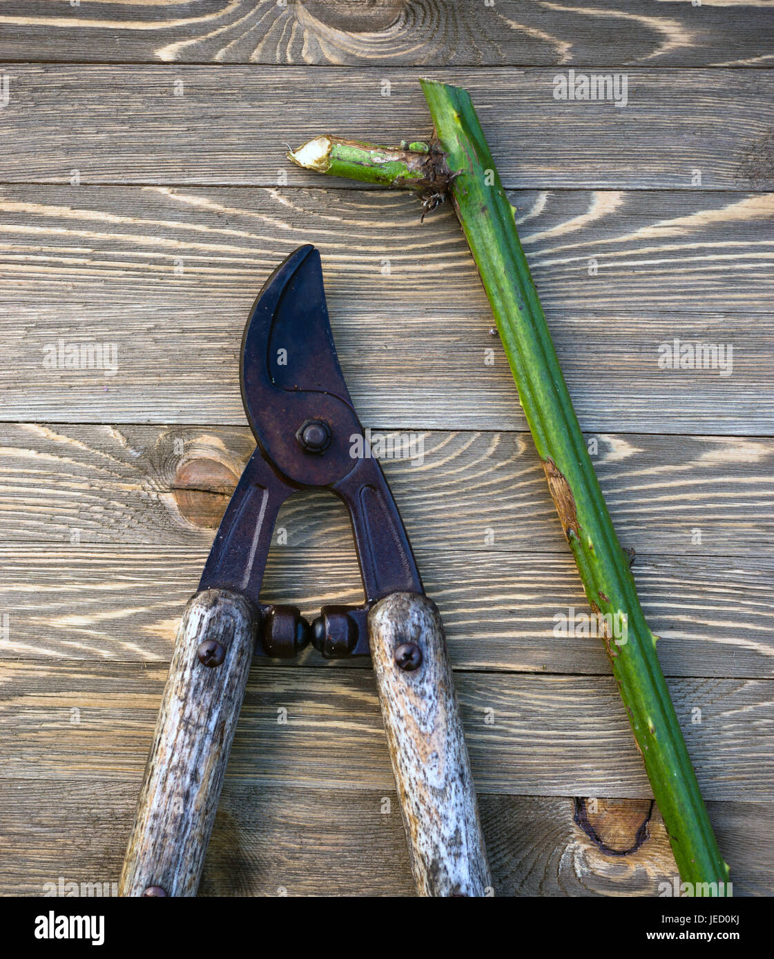 Hand pruning tool hi-res stock photography and images - Alamy