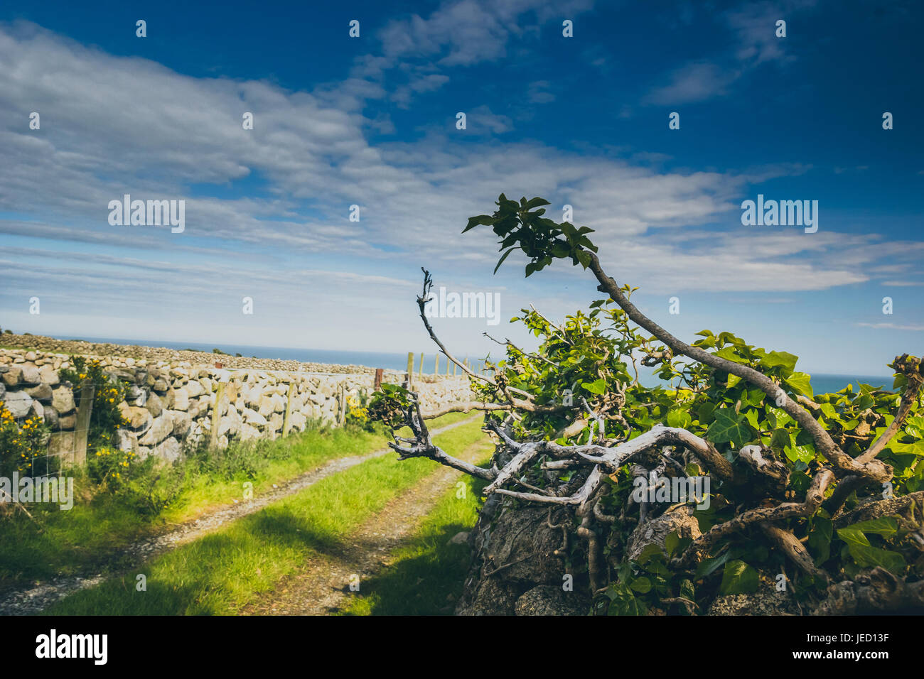 a bright sunny day with deep blue sky at an irish countryside Stock ...