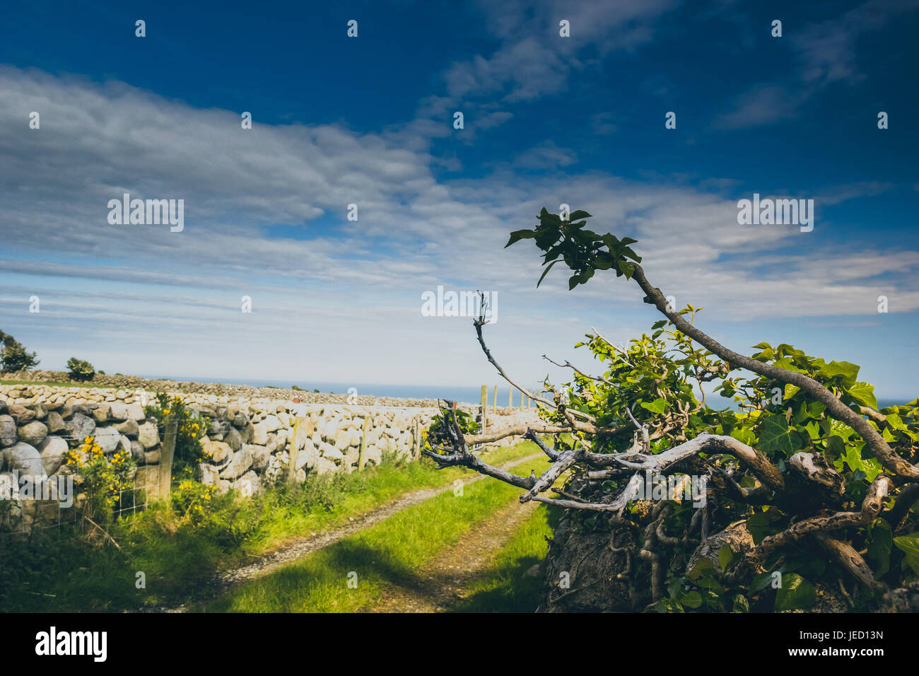 a bright sunny day with deep blue sky at an irish countryside Stock ...