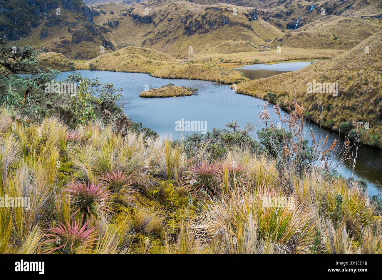 Landscape in Cajas National Park, Cuenca, Ecuador Stock Photo - Alamy