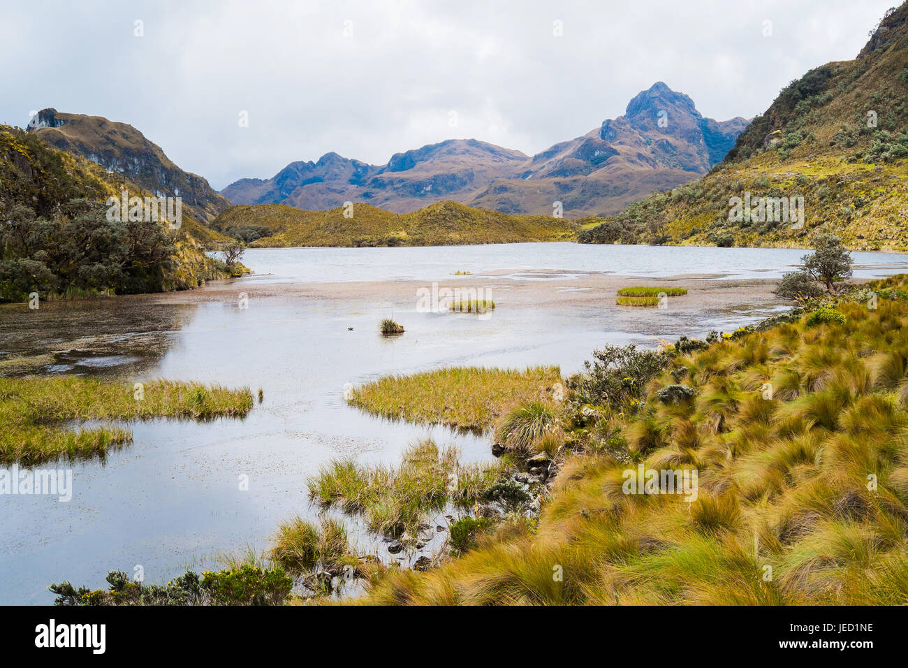 Landscape in Cajas National Park, Cuenca, Ecuador Stock Photo - Alamy