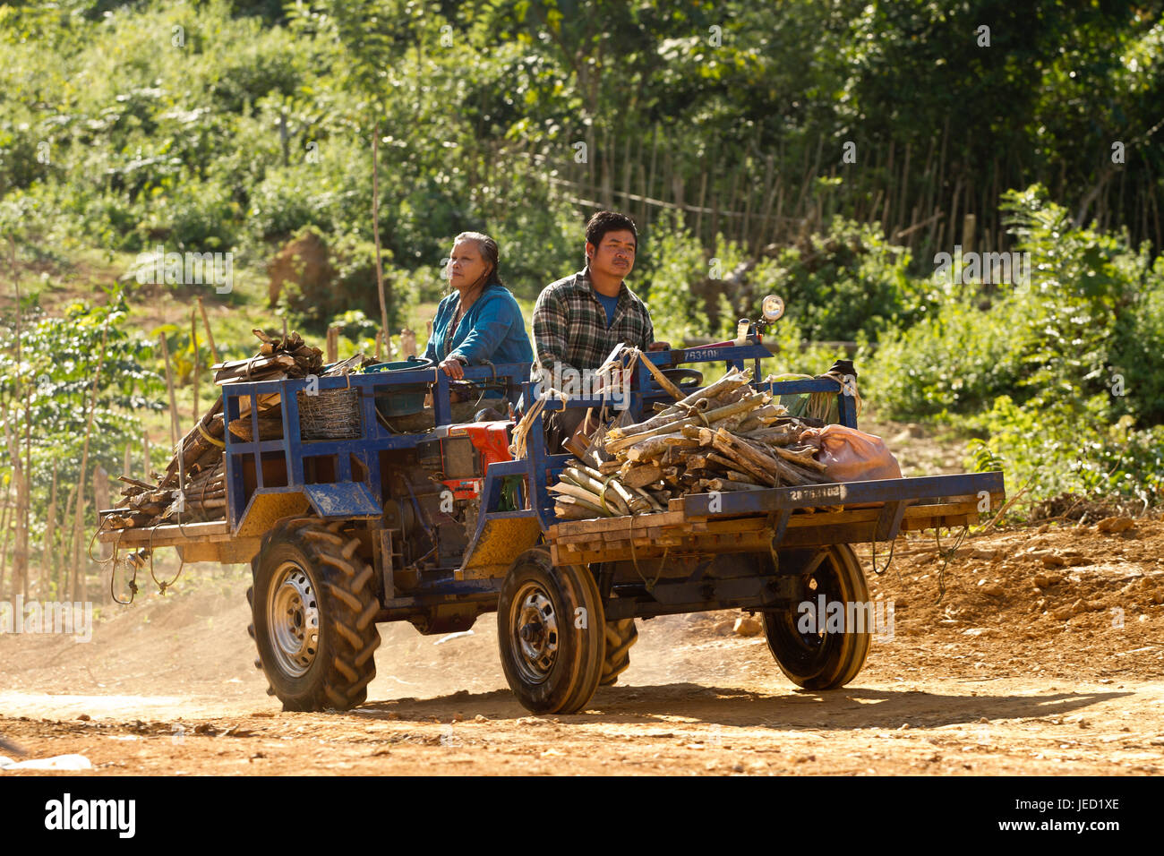 Wheel of fire tree hi-res stock photography and images - Alamy