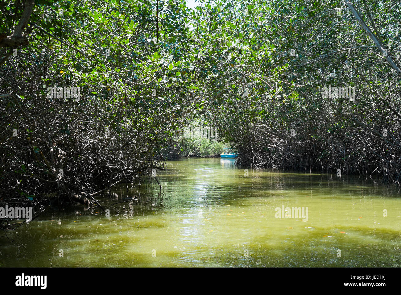 Peru tumbes river hi-res stock photography and images - Alamy