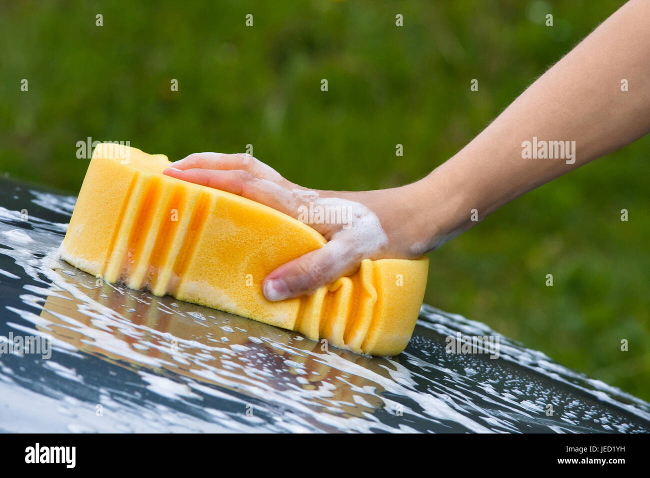 hand washing the windscreen of car with sponge Stock Photo - Alamy