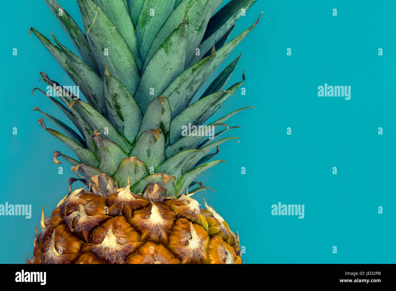 Pineapple close up on blue background. Copy space Stock Photo - Alamy