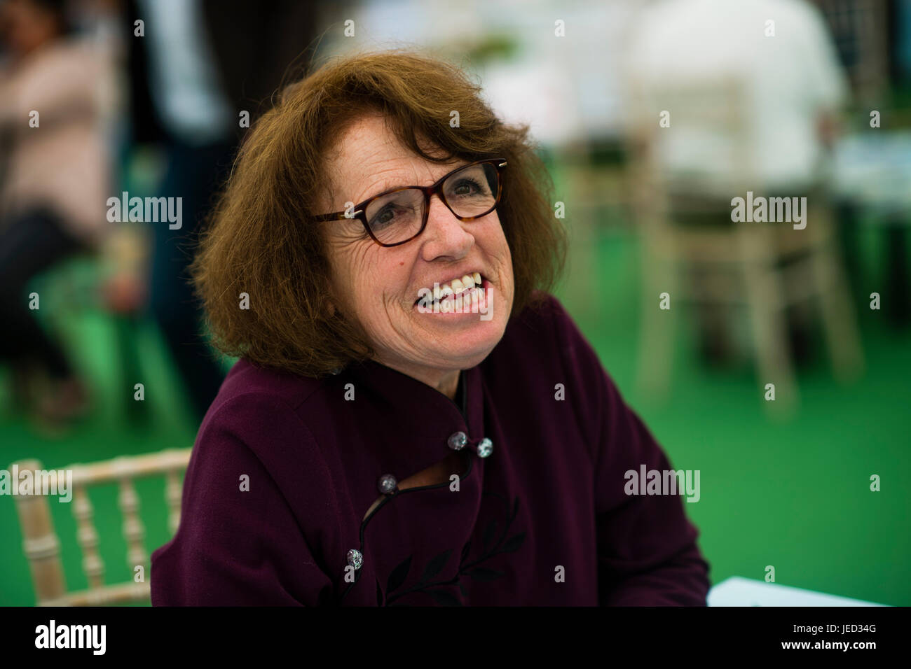 Lynne Jones, psychiatrist and author, at the 2017 Hay Festival of ...
