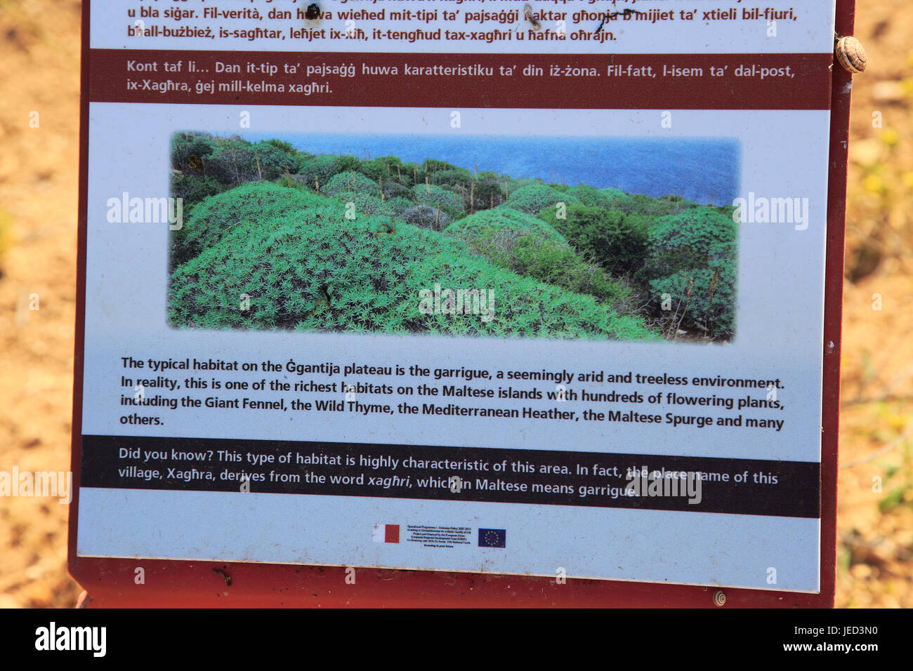 Garrigue vegetation hi-res stock photography and images - Alamy