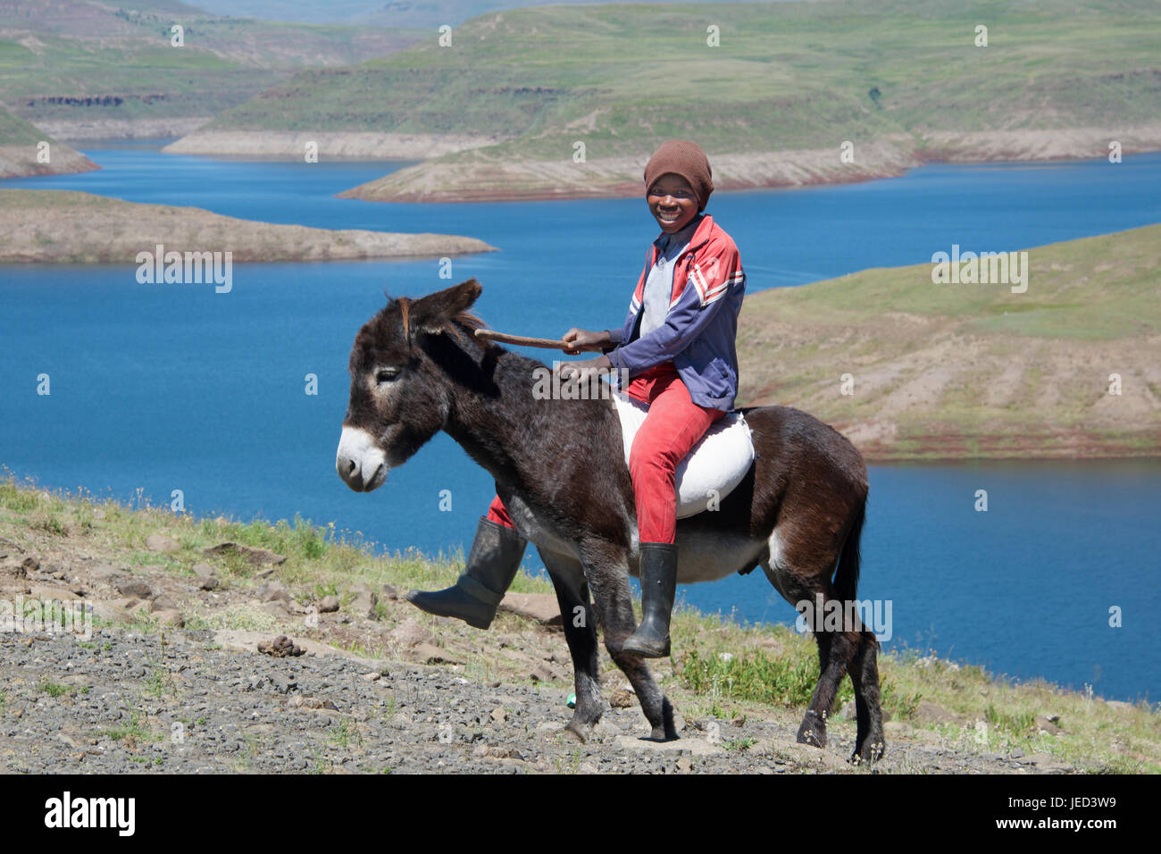 Boy on donkey Katse reservoir Lesotho Southern Africa Stock Photo - Alamy