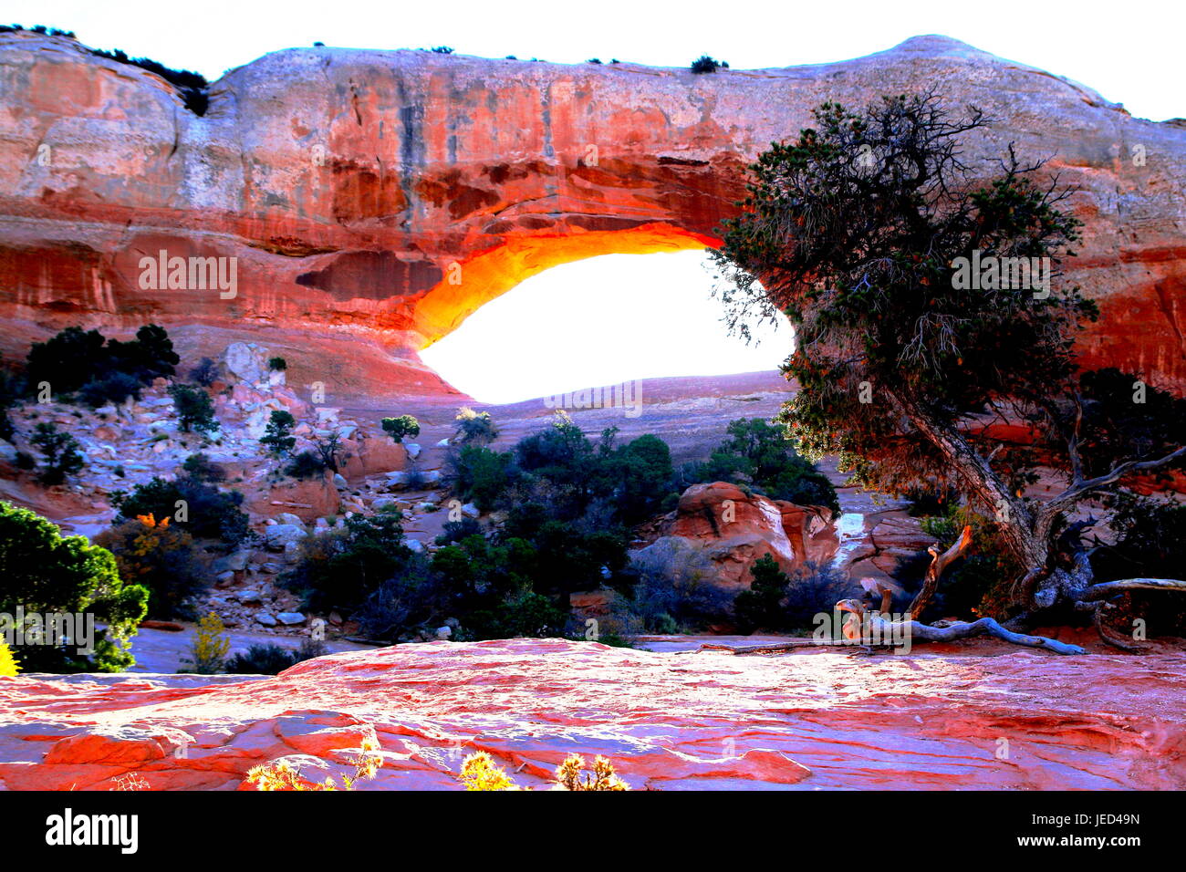 Gold arch hi-res stock photography and images - Alamy