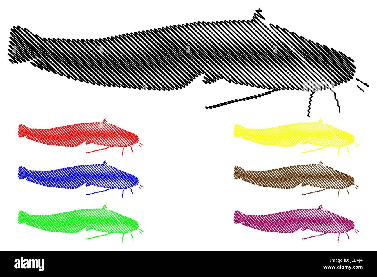 catfish silhouette vector, (Silurus glanis Stock Vector Image & Art - Alamy