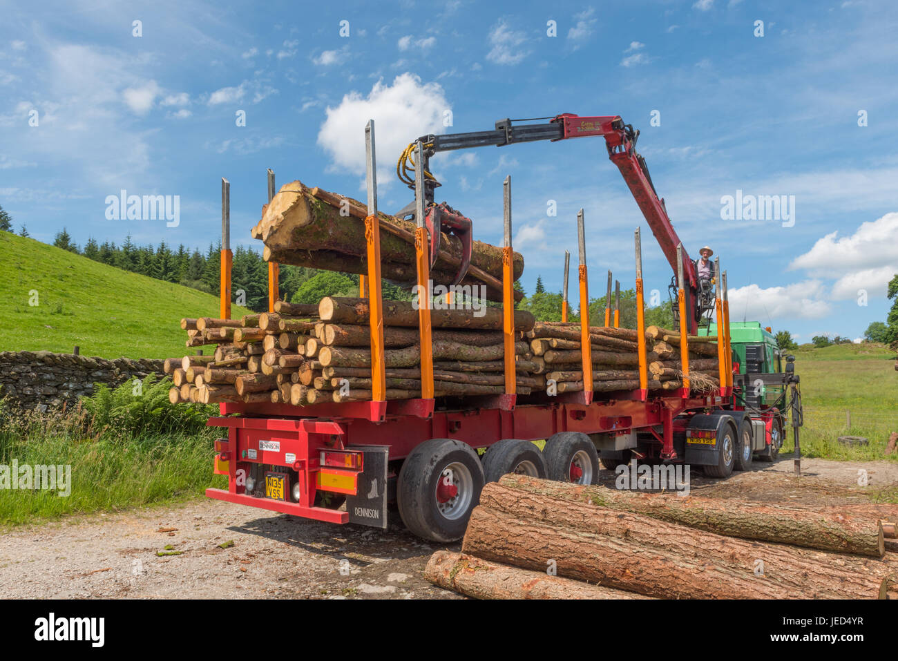 Loading sawn logs onto a truck at far Sawrey in Cumbria Stock Photo - Alamy