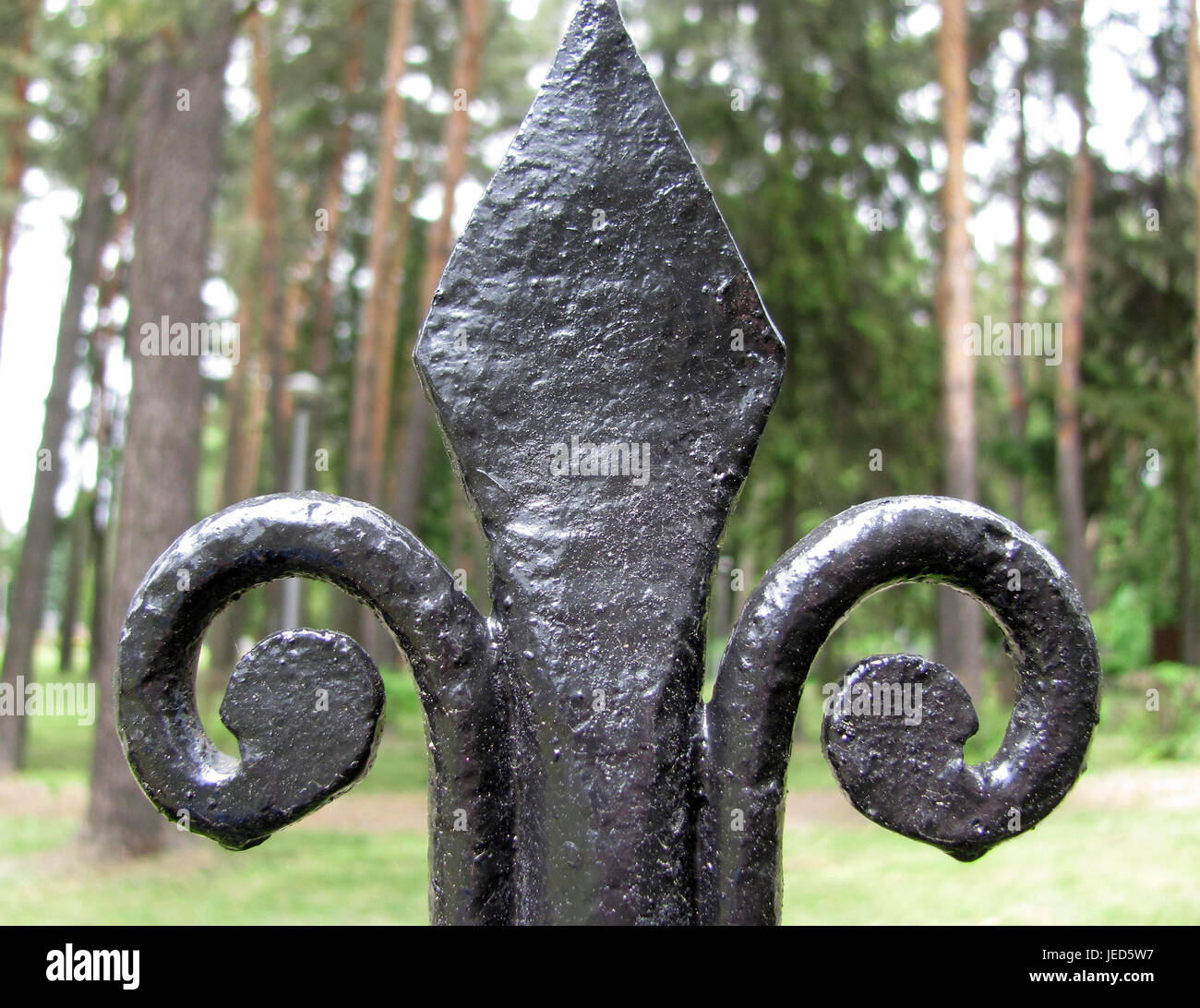 Metal black fence tip Stock Photo - Alamy