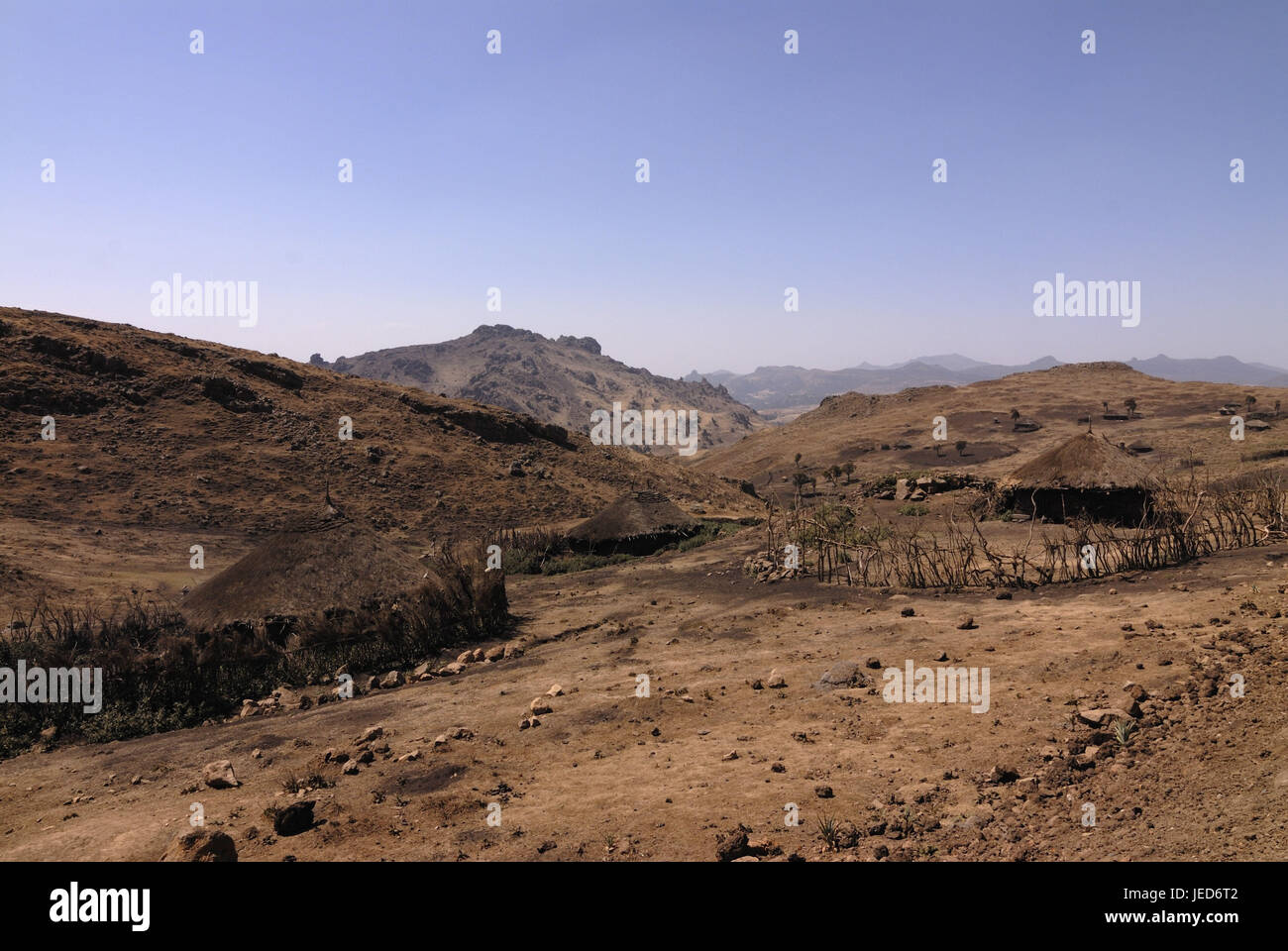 Bale mountain ethiopia hi-res stock photography and images - Alamy