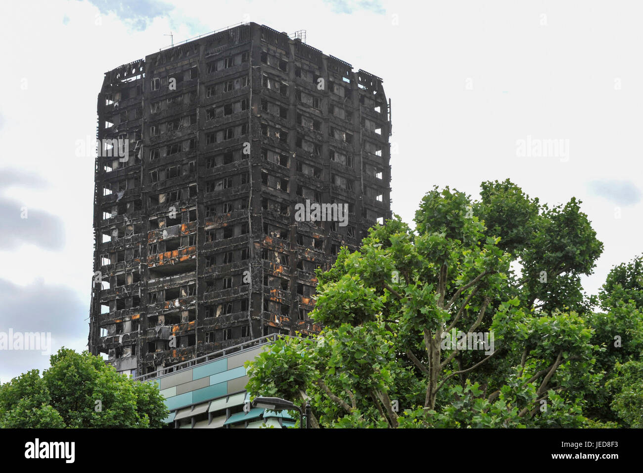 Freezer burned hi-res stock photography and images - Alamy