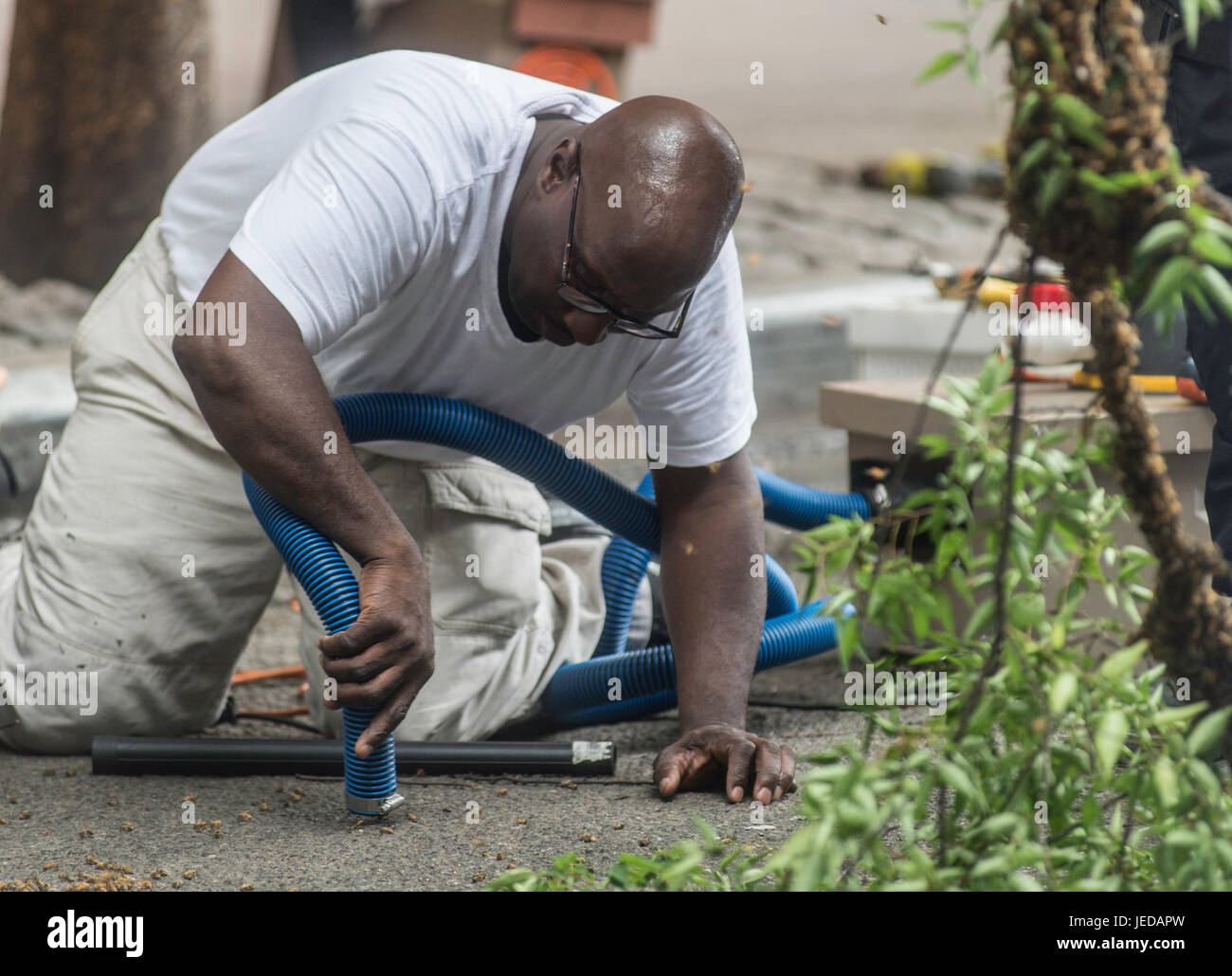 New York, NY 21 June 2017 - A Beekeeper and member of the NYPD ...