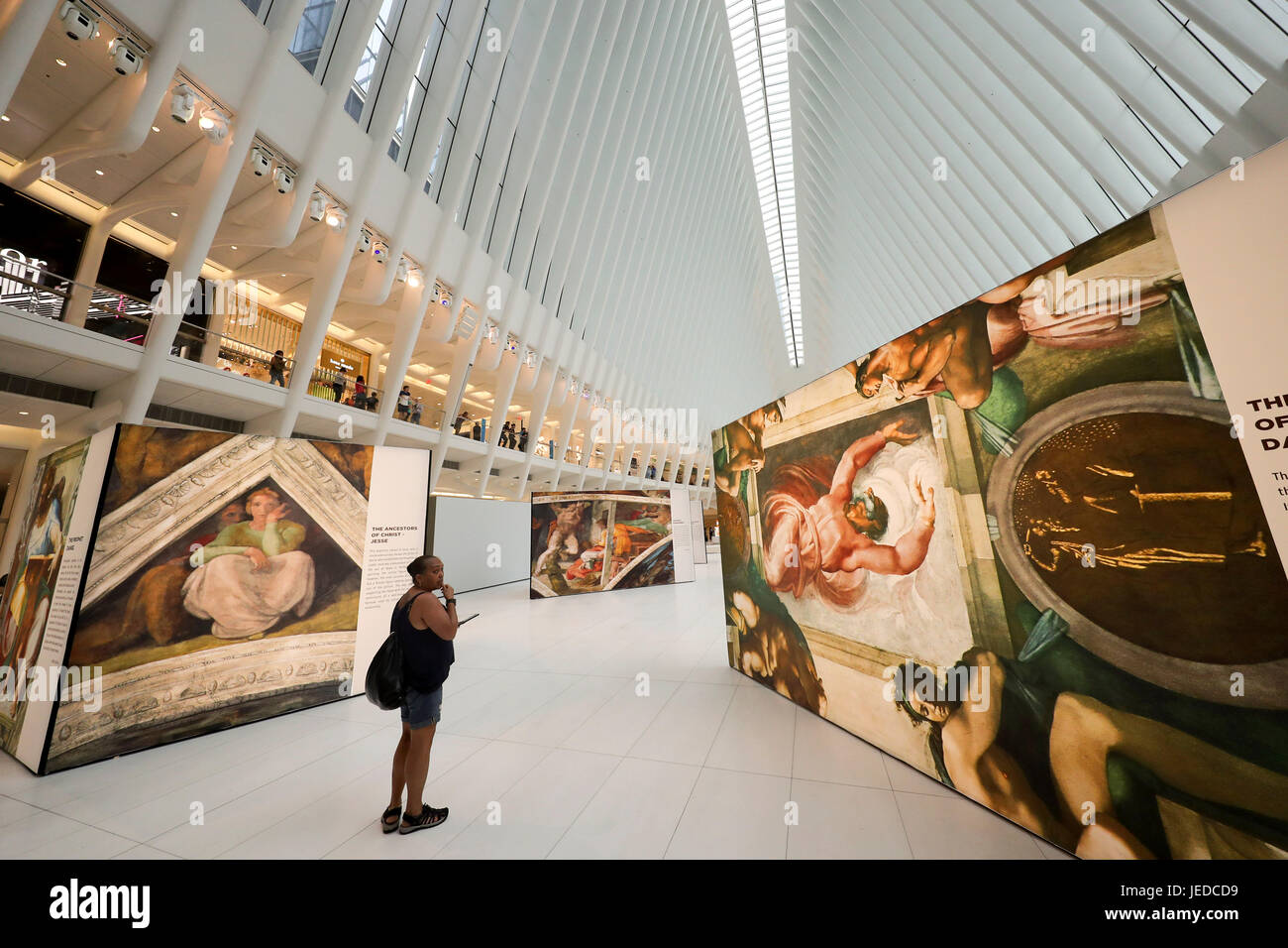 New York, USA. 23rd June, 2017. A visitor looks at works in the "Up ...
