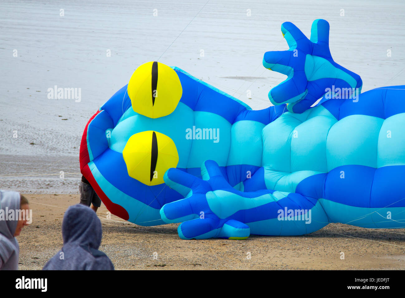 Inflatable gecko hi-res stock photography and images - Alamy