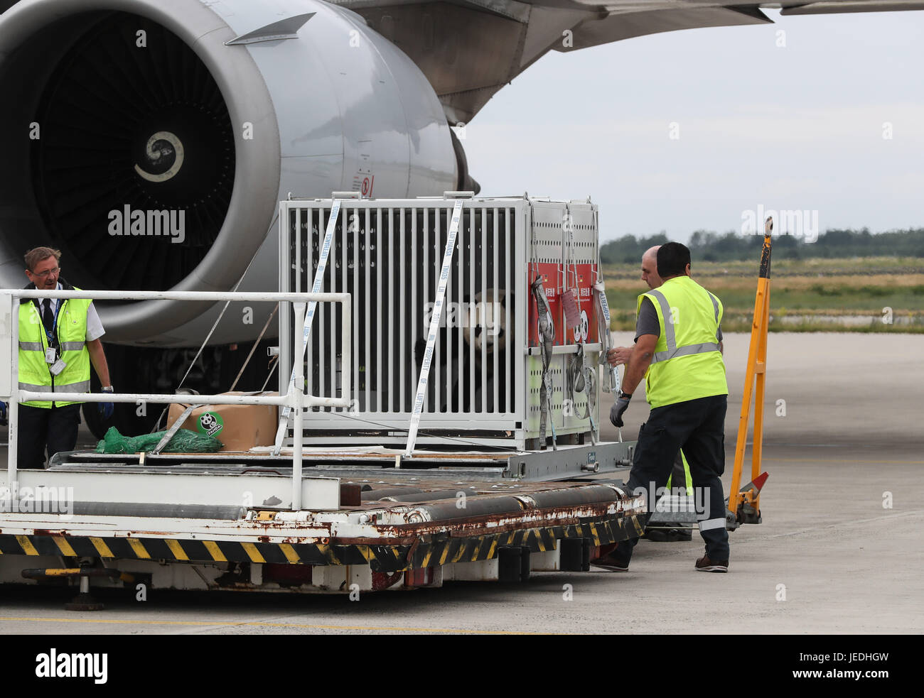 Panda cage hi-res stock photography and images - Alamy