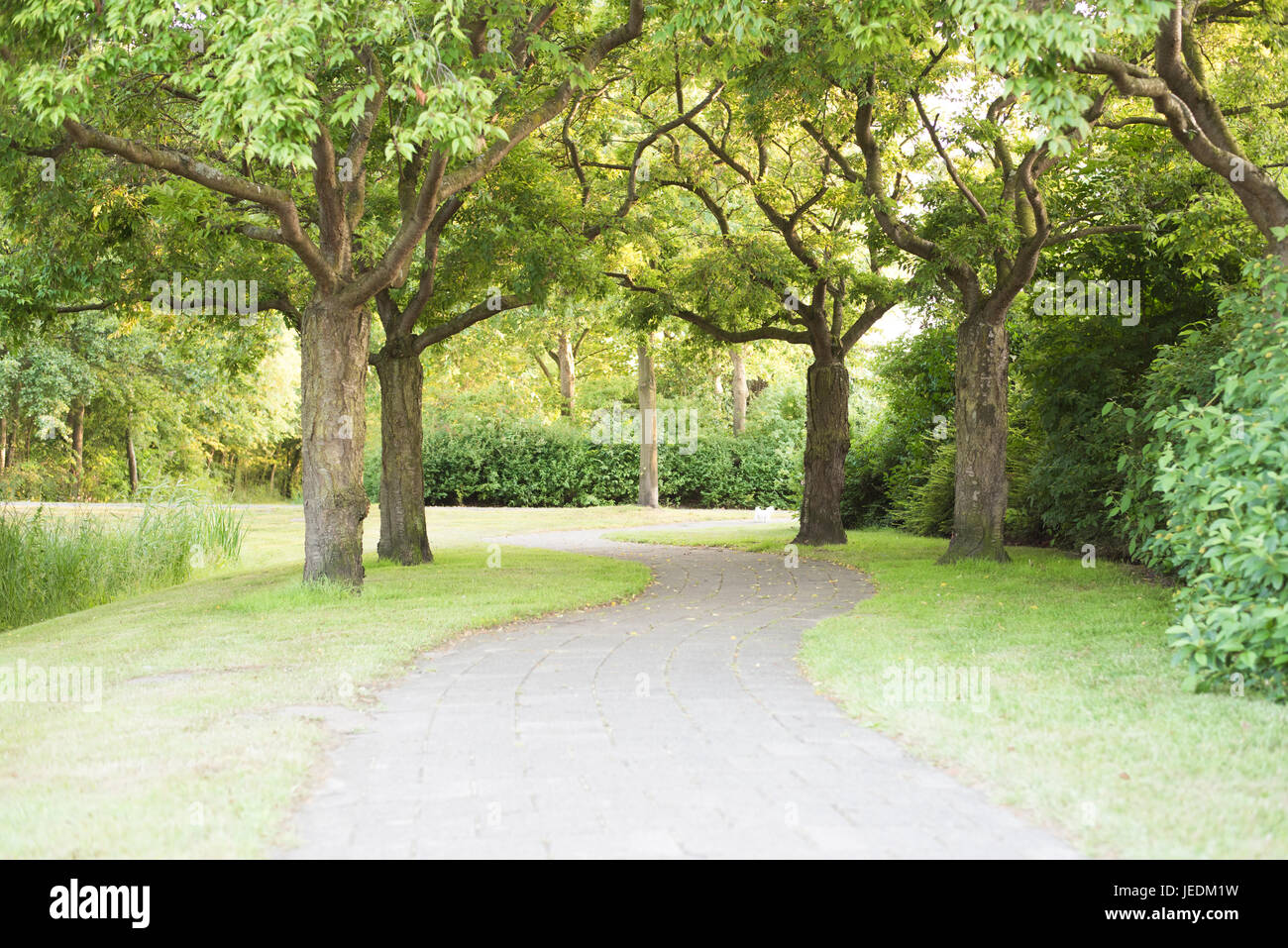 between flower and spring Stock Photo - Alamy