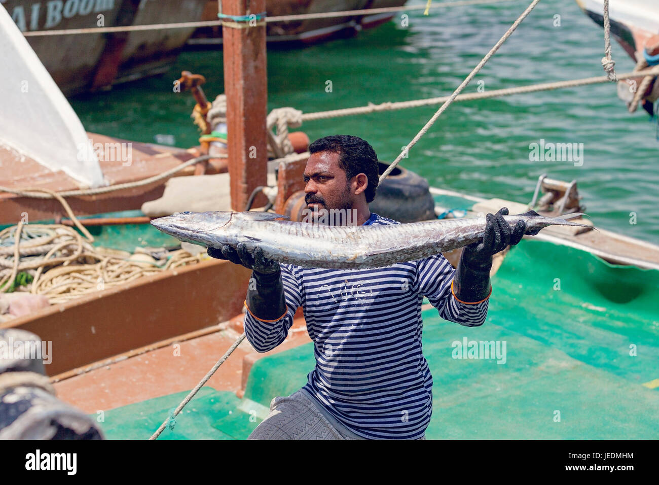 Fisherman bringing in frozen catch of Kingfish at Al-Khor, Qatar Stock ...