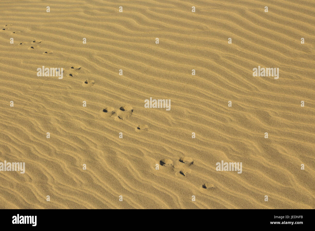 Foot marks hi-res stock photography and images - Alamy