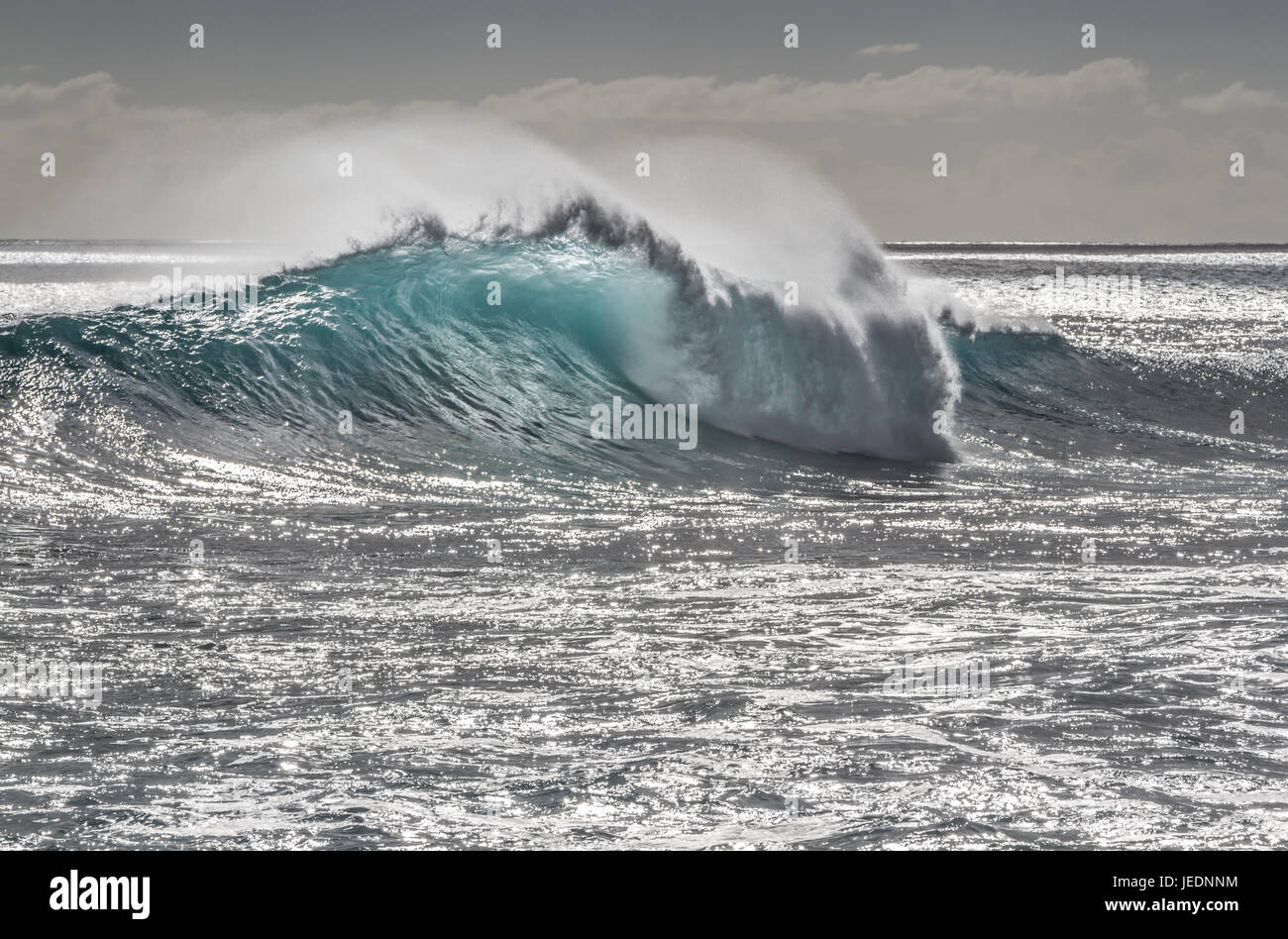 Beautiful back lit breaking Ocean wave, Oahu Hawaii Stock Photo - Alamy