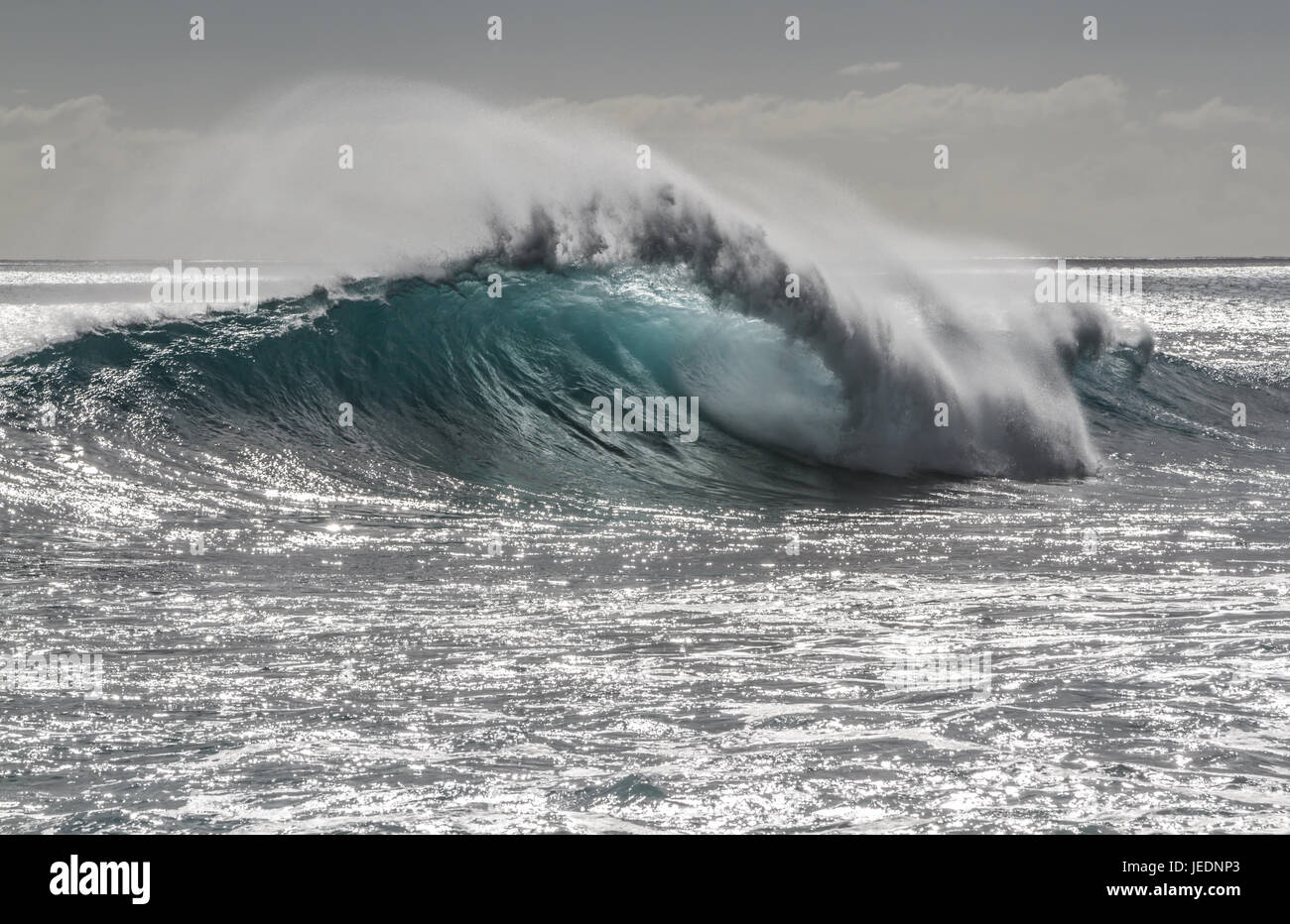 Beautiful back lit breaking Ocean wave, Oahu Hawaii Stock Photo - Alamy