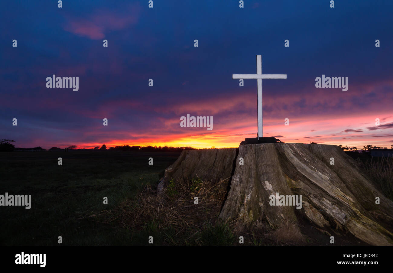 White Cross on large old tree stump at sunrise Stock Photo - Alamy