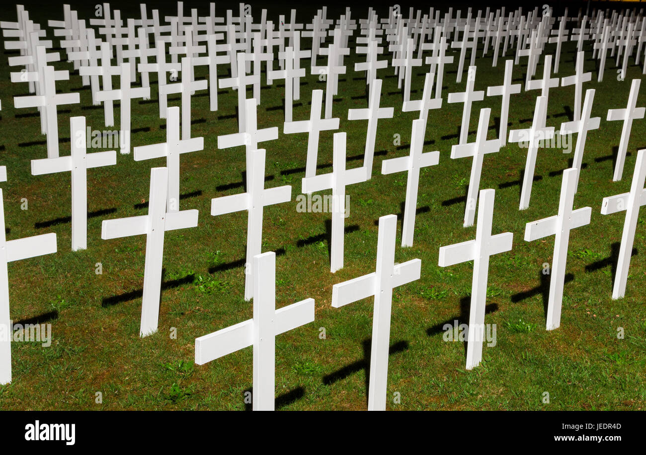 Field of white cross to remember those who lost their lives in war ...