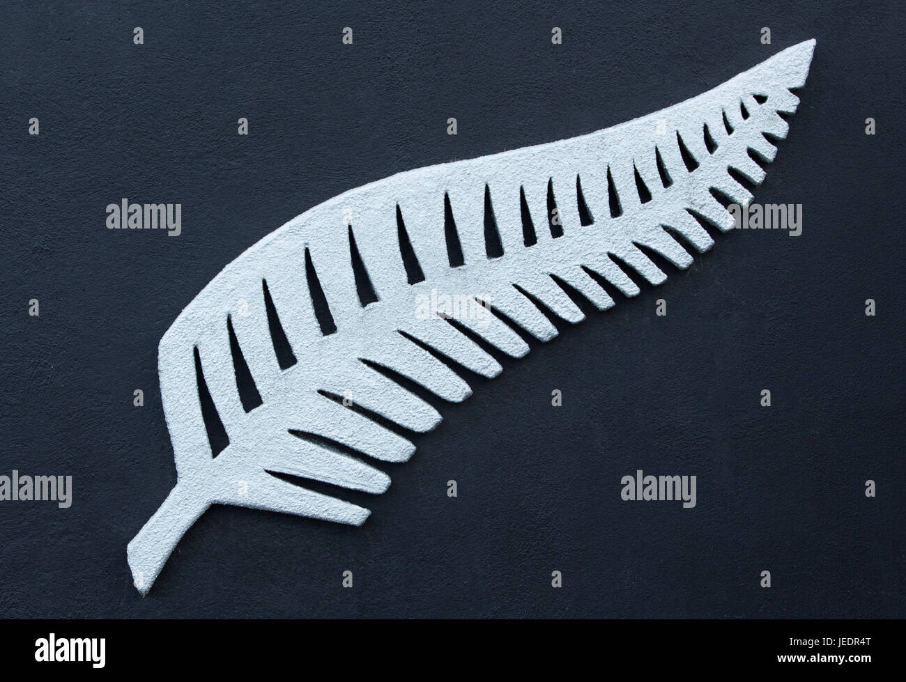 White fern on a black background Stock Photo - Alamy