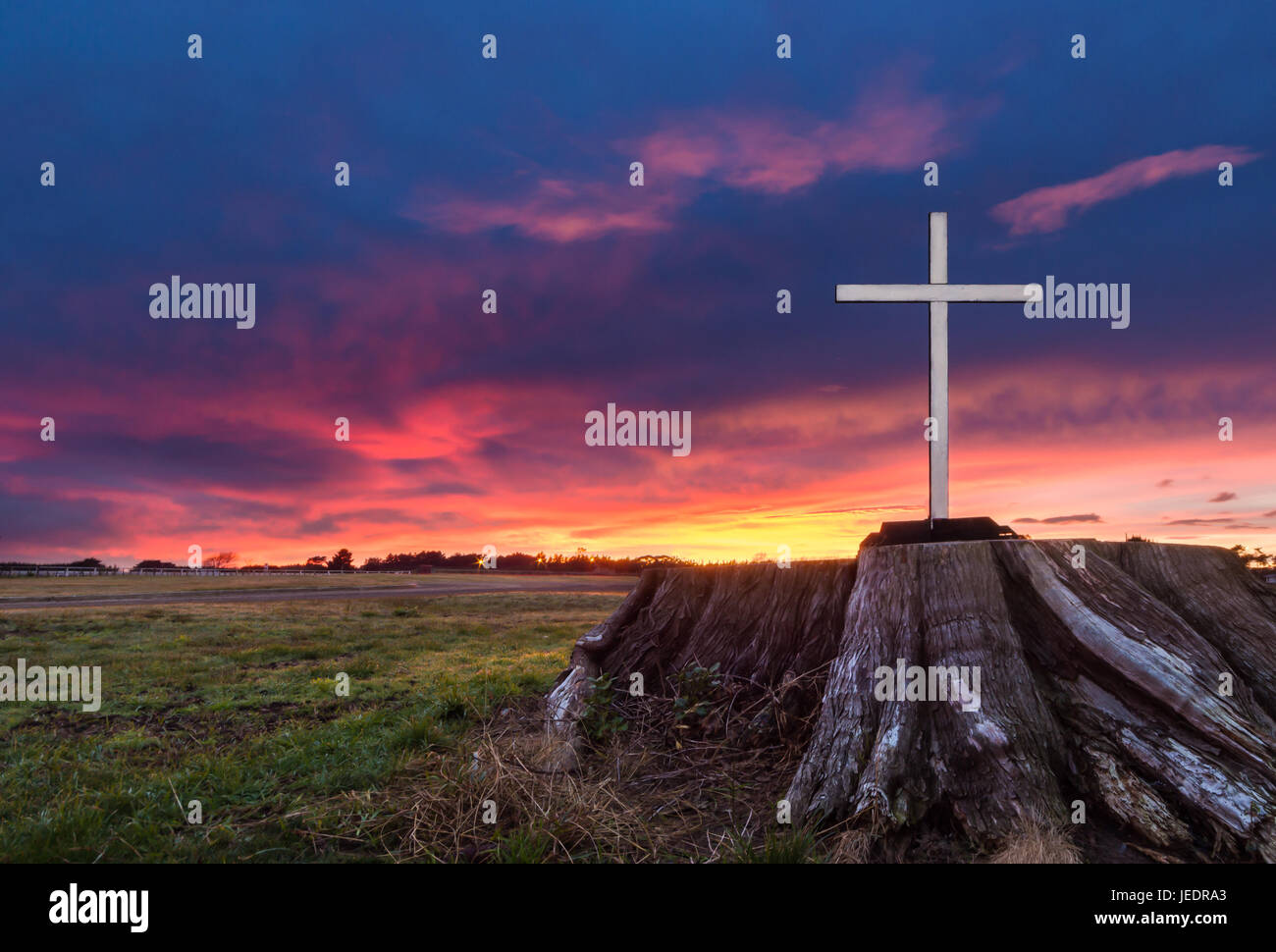 White Cross on large old tree stump at sunrise Stock Photo - Alamy